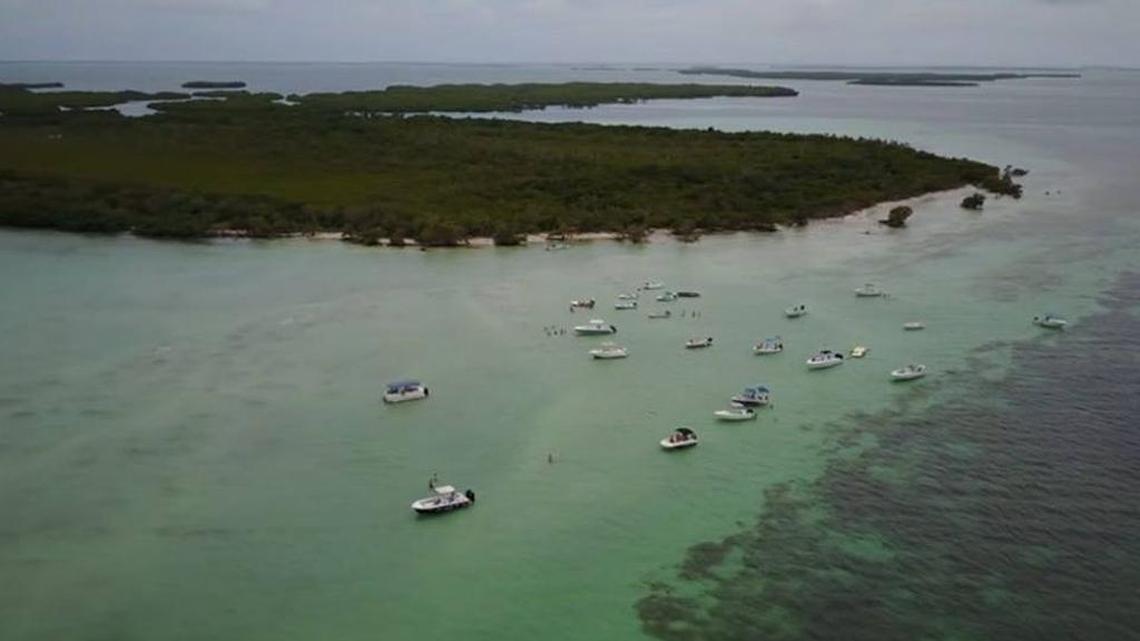 Shark bite reported at Snipe Point | FL Keys News